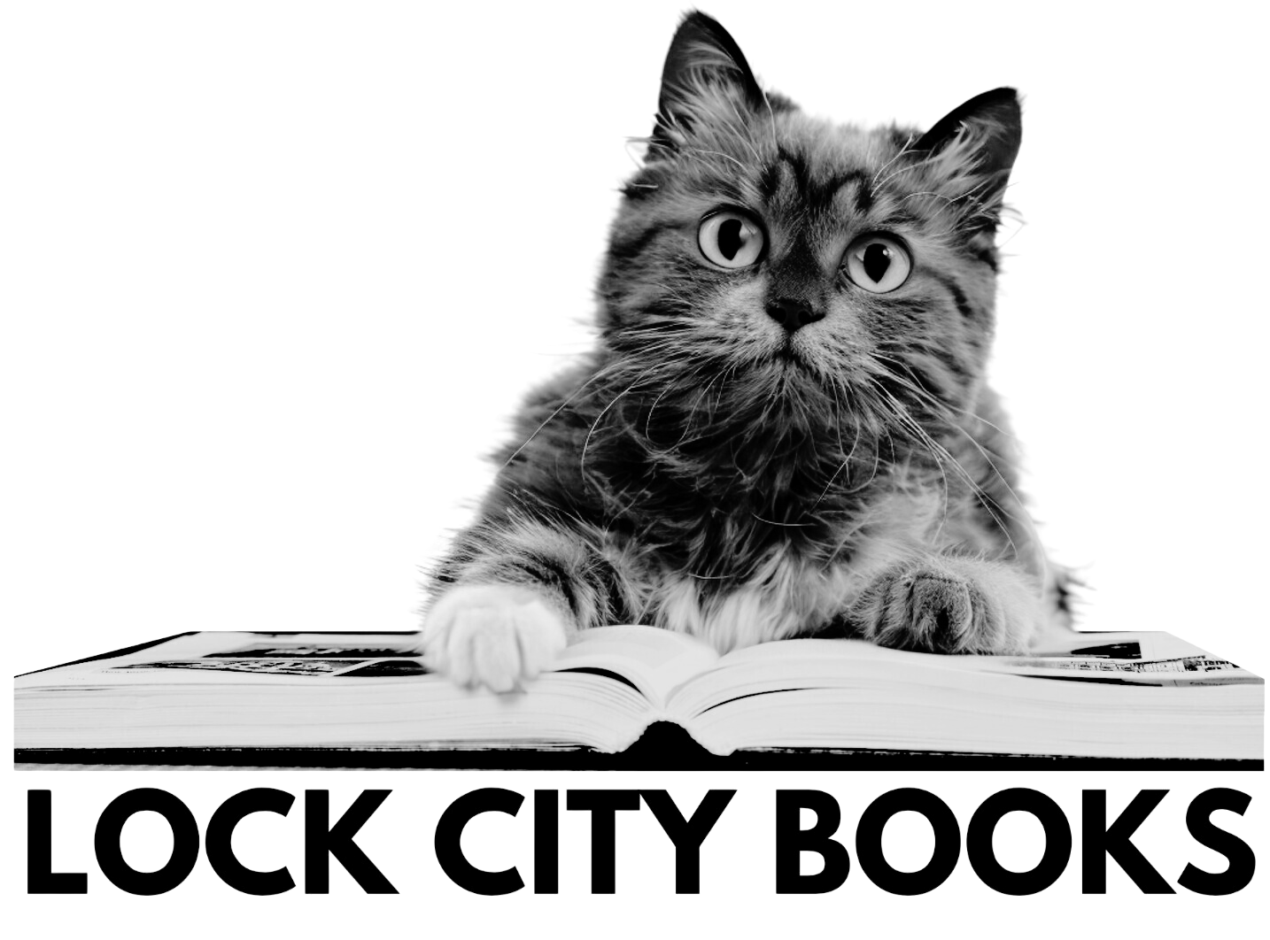 Home | Lock City Books